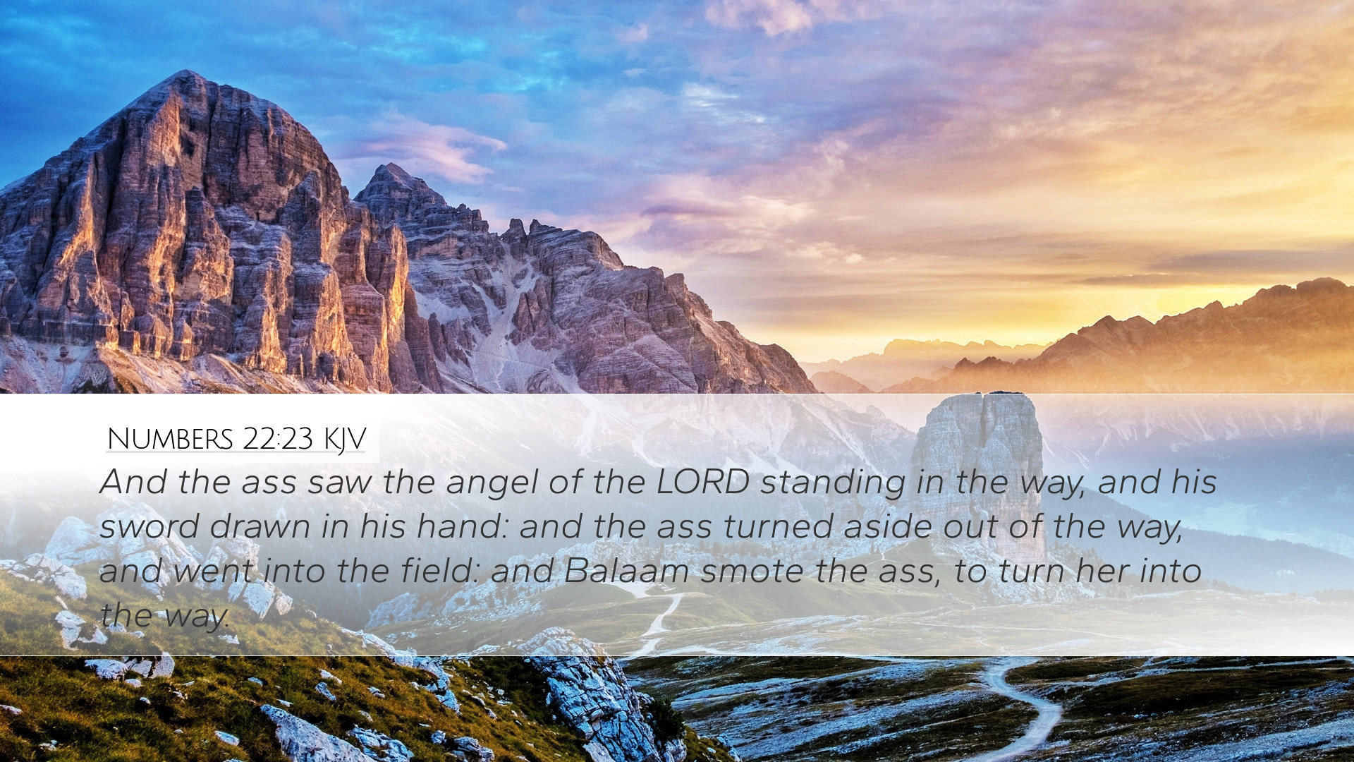 Numbers 22 23 KJV Desktop Wallpaper And The Ass Saw The Angel Of The